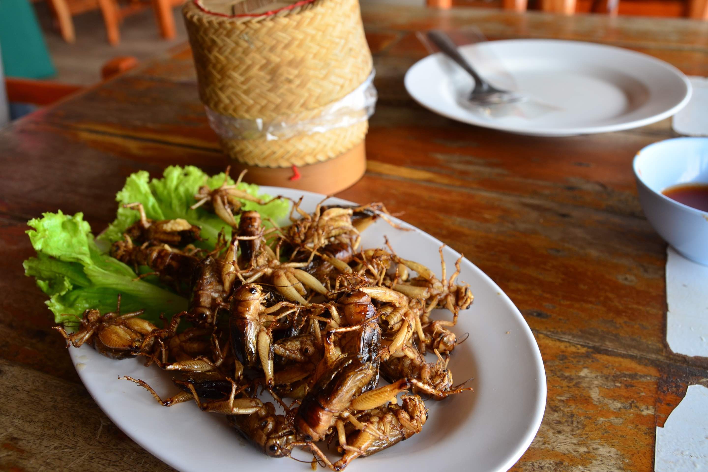 Mukdahan travel guide Travelfish.org