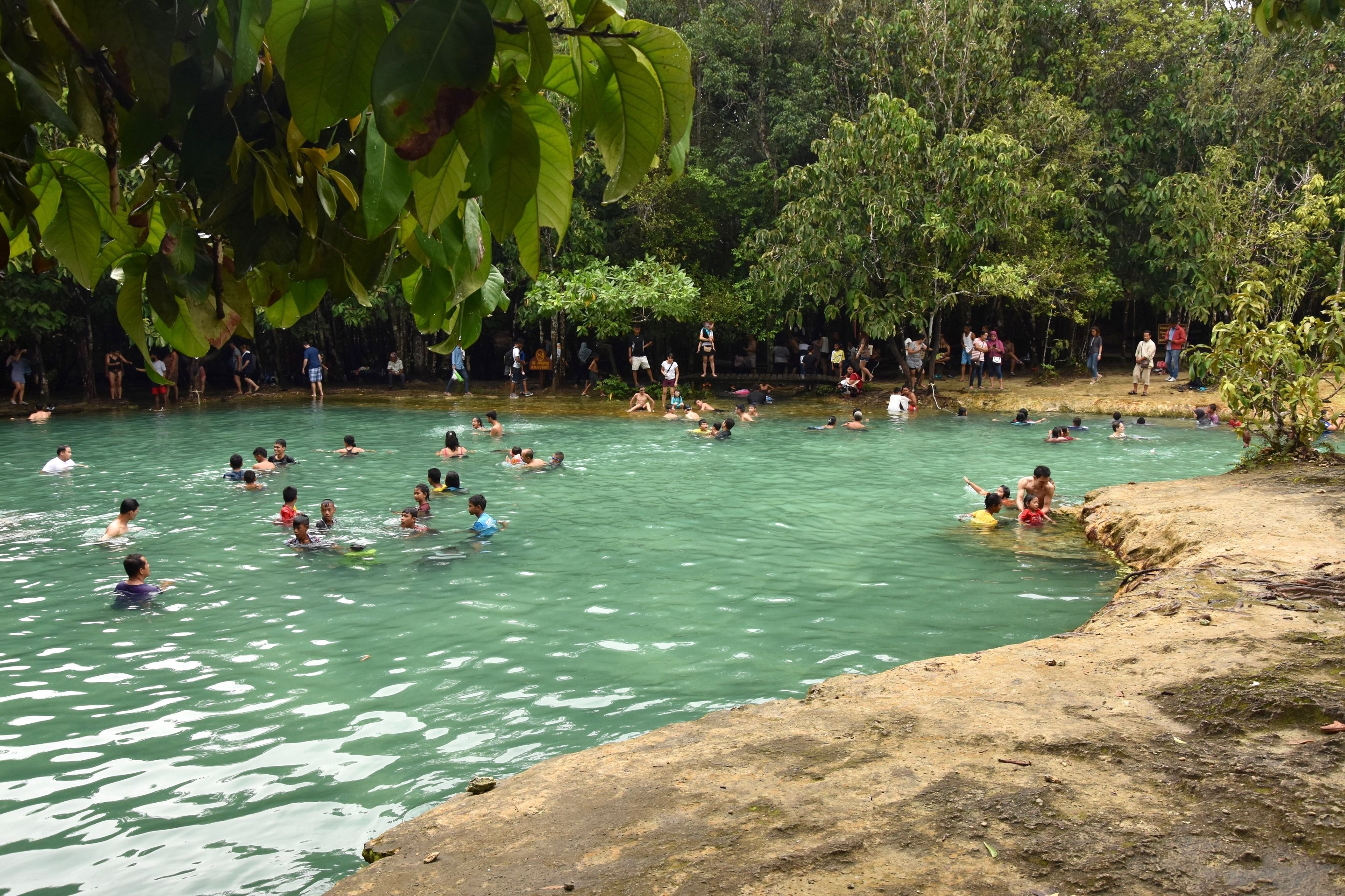 Emerald Pool and Khlong Thom hot springs