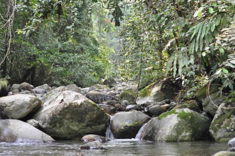 Two weeks in Java: A suggested itinerary