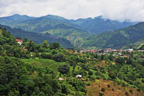Shorter Mae Salong loop, Chiang Rai — Visitor guide & review